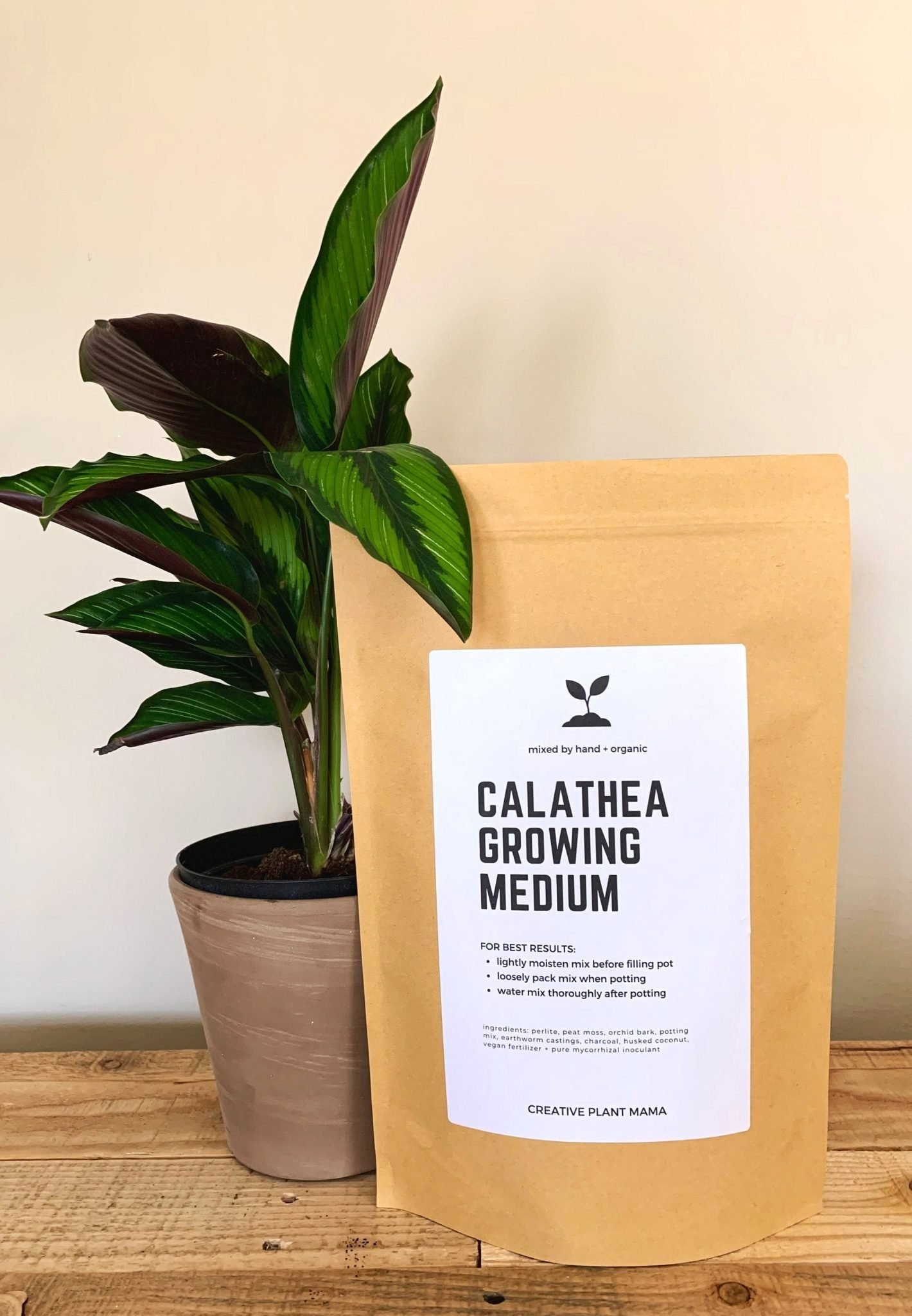 Calathea Potting Mix Recipe: The Secret to Thriving Plants | Kitchen Aiding