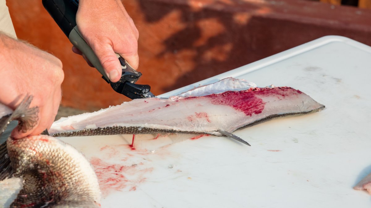 Sandworm Meat Recipe: Unleash the Power of Exotic Delicacy | Kitchen Aiding