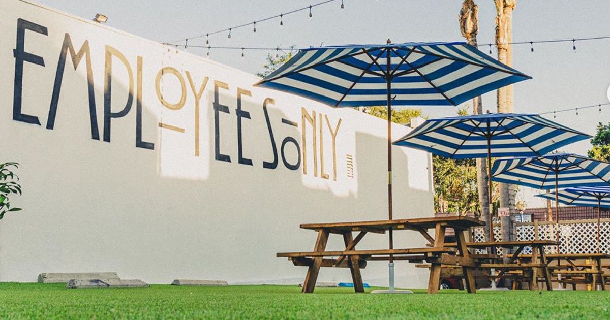 Tomolives Recipe : Mouthwatering, Easy-to-Make Delights | Kitchen Aiding